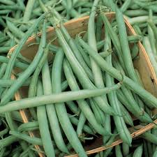 अशी करा घेवडा लागवड - krushisevak.com